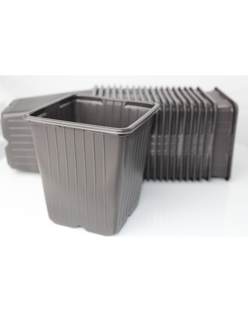 Square Pot