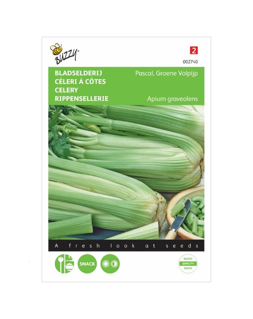 Pascal Celery - Apium Graveolens L.