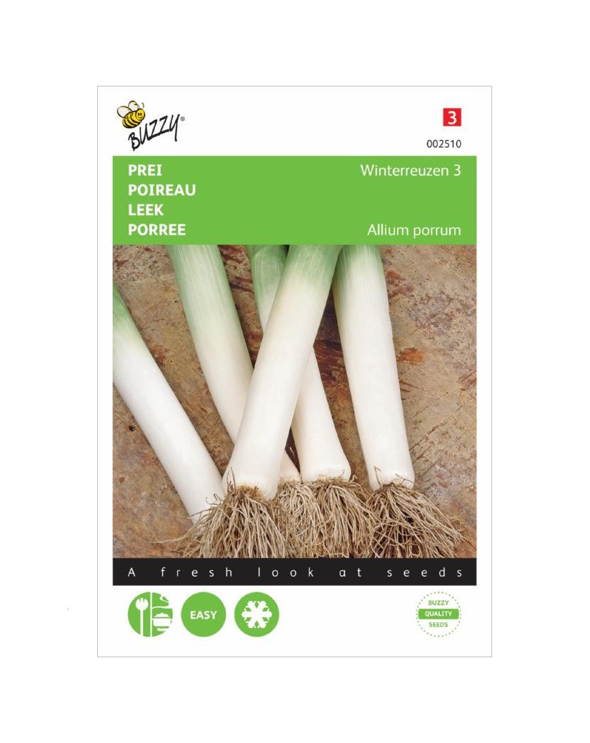 Seeds Leek giant winter - Allium porrum