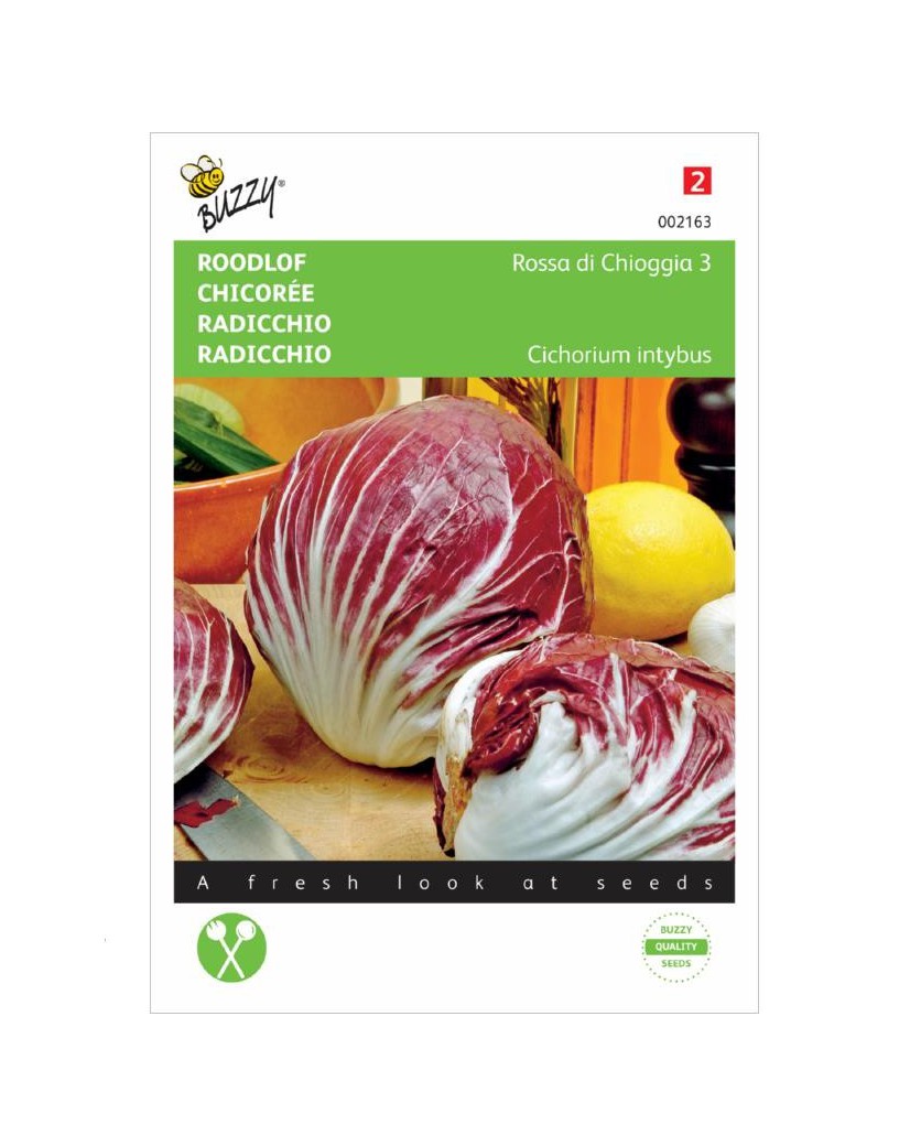 Seeds Radicchio Palla Rossa di Chioggia - Cichorium intybus