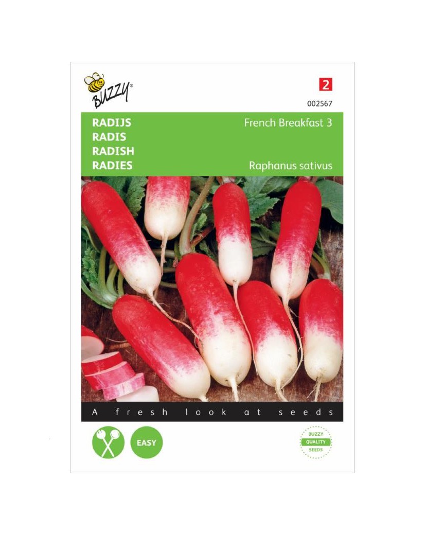 Semences Radis mi-long flamboyant - Raphanus sativus