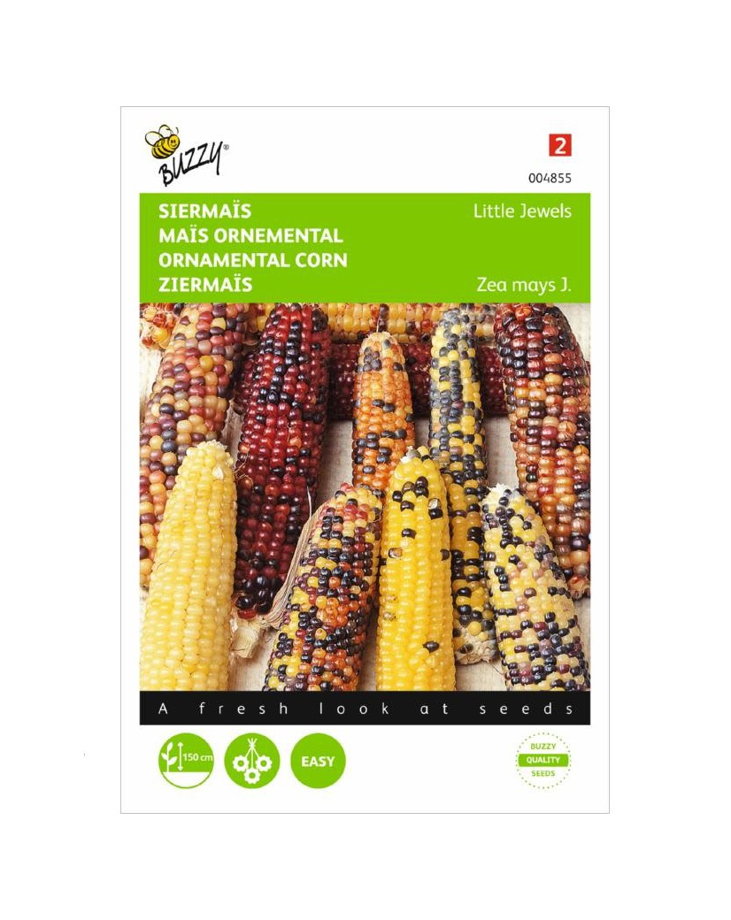 Multi-colored sweet corn - Zea mays