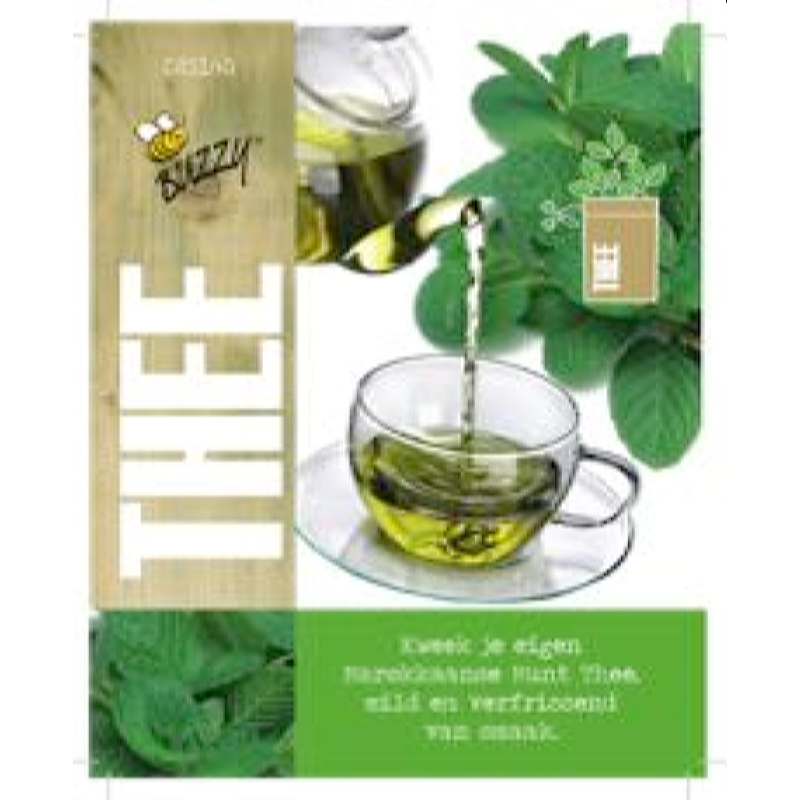 Kweekset van muntthee