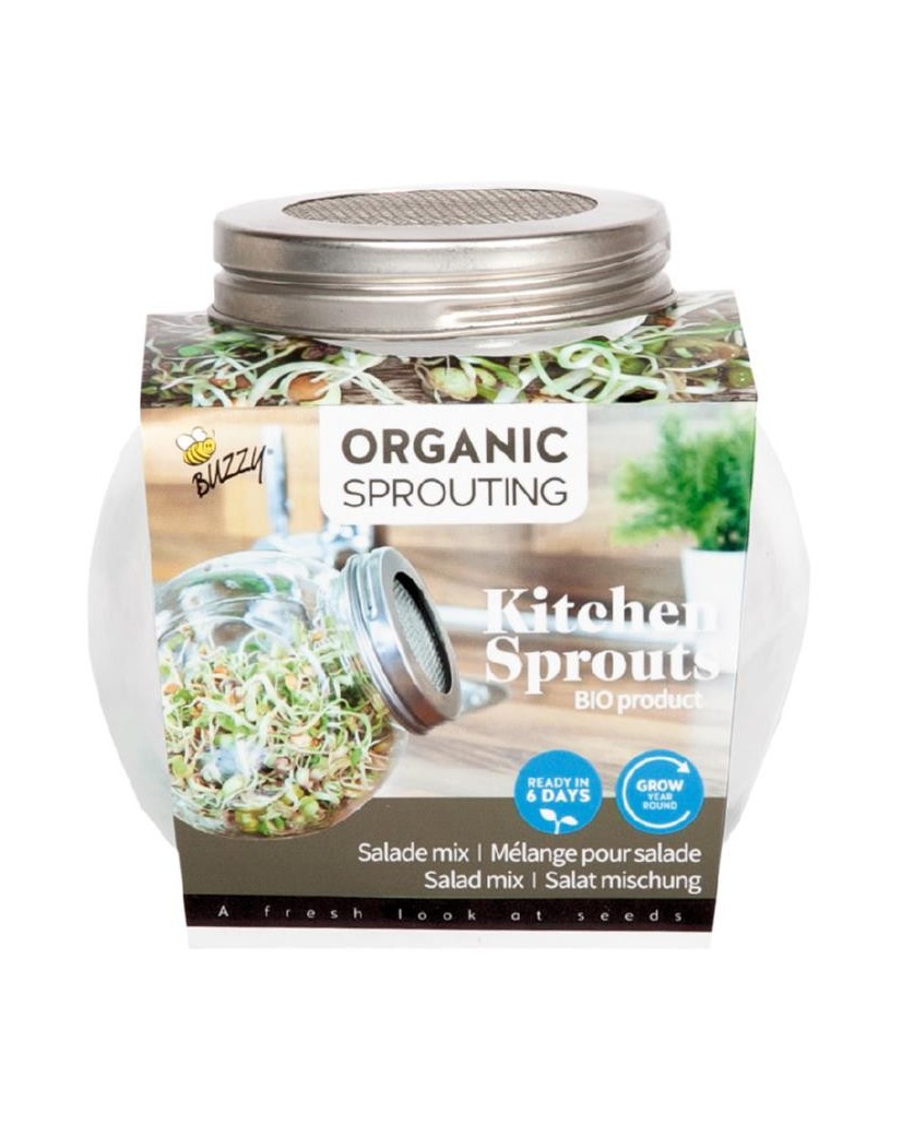 Sprouting glass jar with seeds to sprout