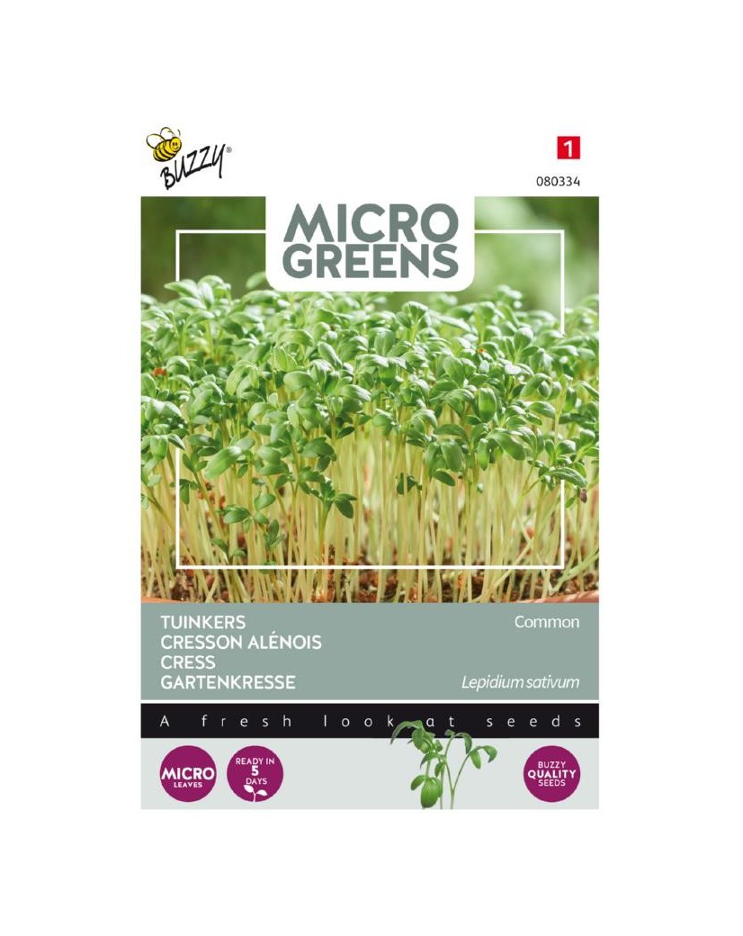Seeds Cress Common - Lepidium sativum