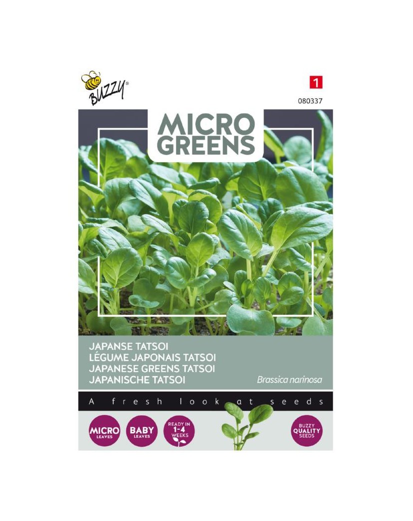 Seeds Tatsoi - Japanese Greens - Brassica narinosa