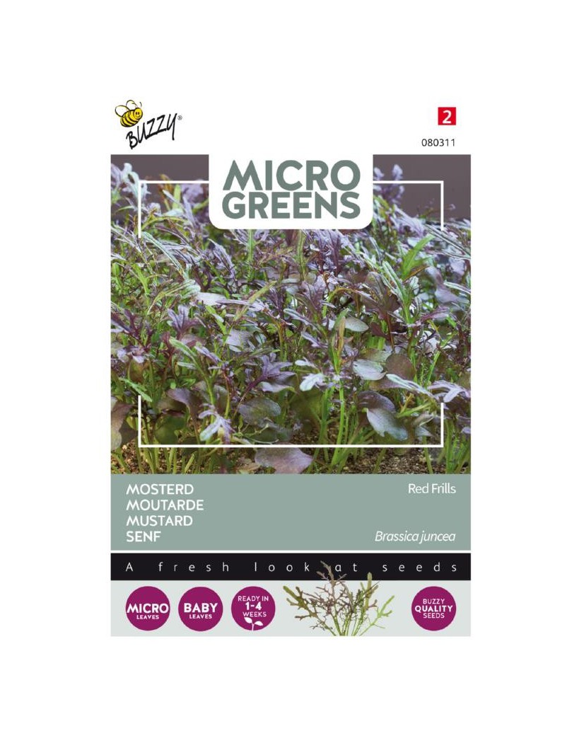 Mustard Red Frills - Brassica juncea