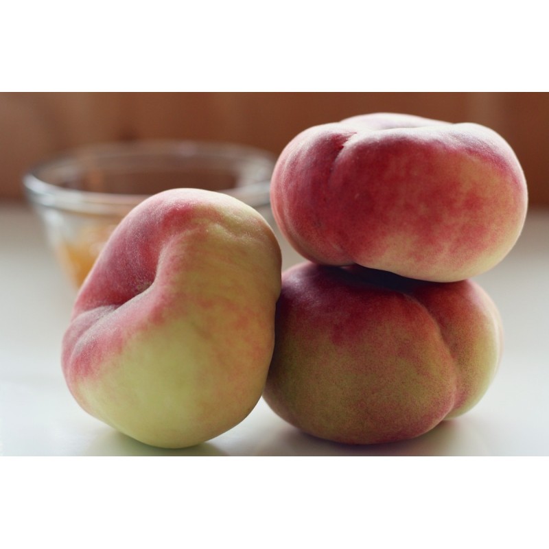 Perzik Saturn - Prunus Persica Platycarpa Saturn