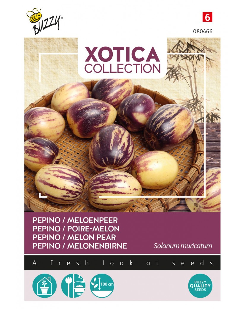 Semences Pépino - Poire melon - Solanum muricatum