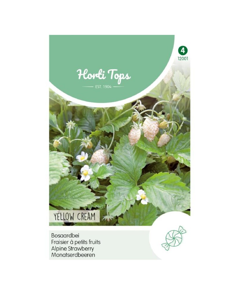 Seeds Alpine Strawberry Yellow Cream - Fragaria vesca