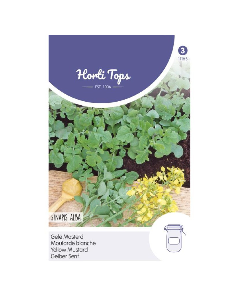 Gele Mosterd - Sinapis alba