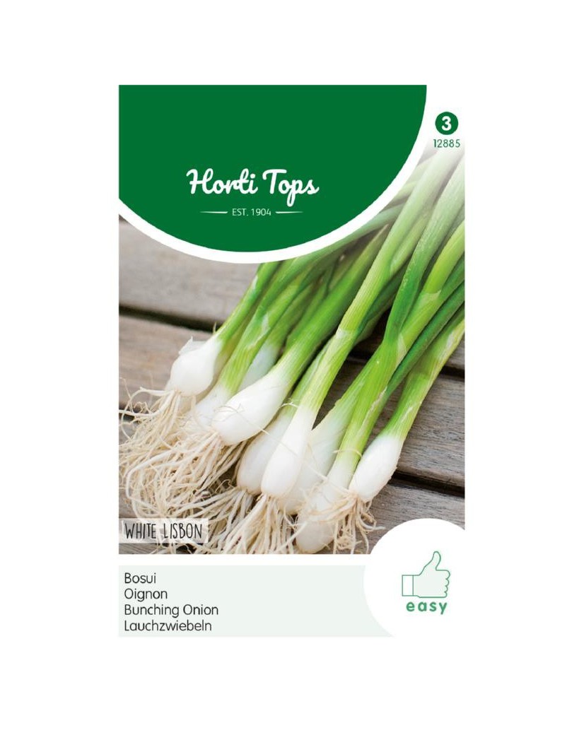 Seeds Spring Onion White Lisbon - Allium cepa
