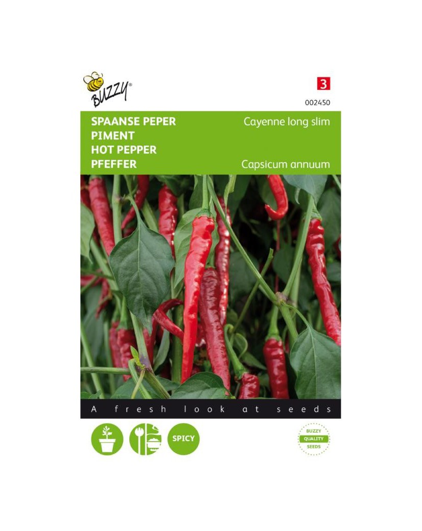 Zaden Spaanse peper cayenna long slim - Capsicum annuum