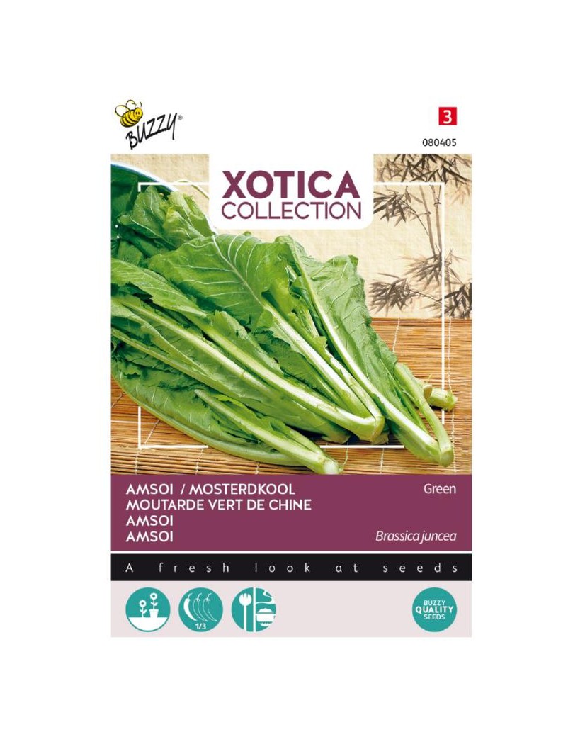 Zaden Mosterdkool - Amsoi Mung Choi - Brassica juncea var. rugosa