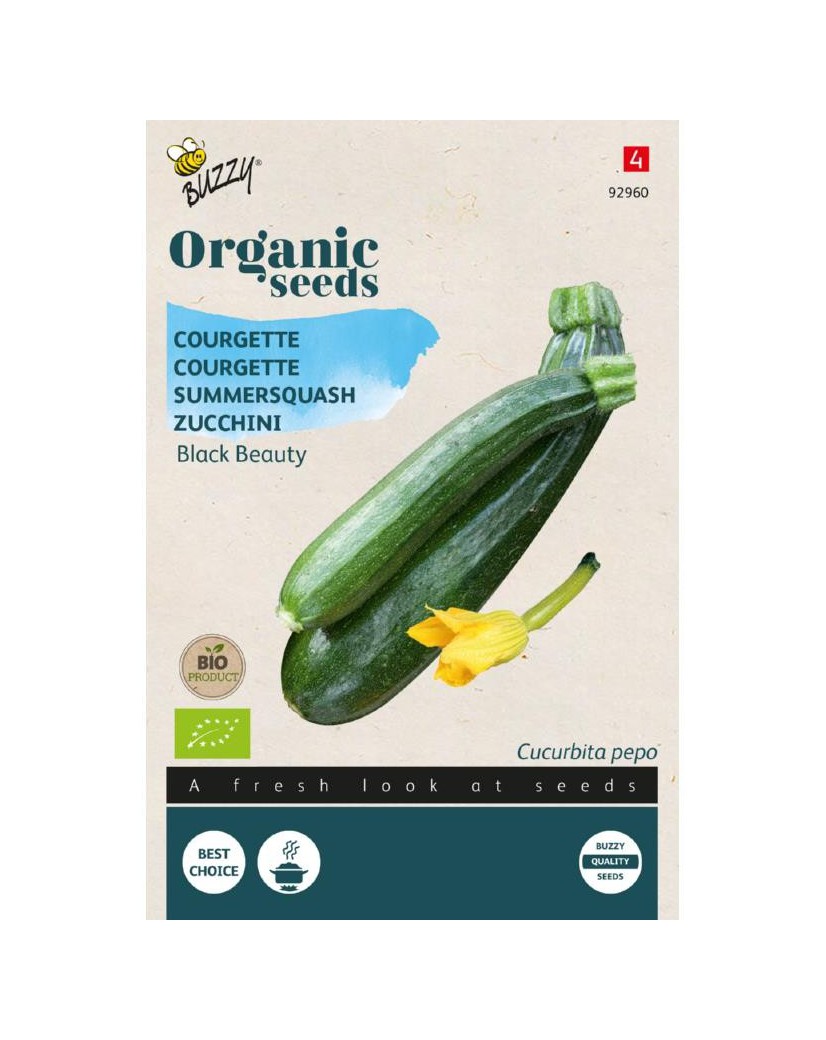 semences Courgette Black Beauty BIO - Cucurbita Pepo