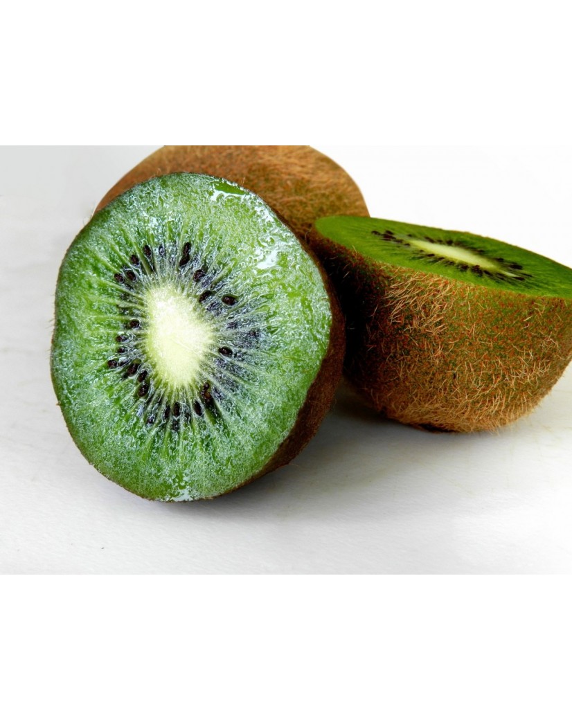 Kiwi fruit self-fertile Solissimo - Actinidia deliciosa solissimo