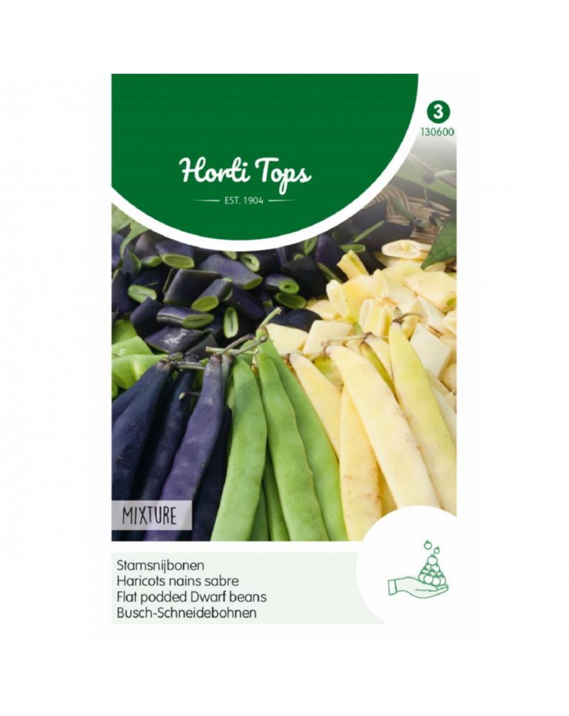 Seeds Flat podded dwarf beans mixture three colors - Phaseolus vulgaris