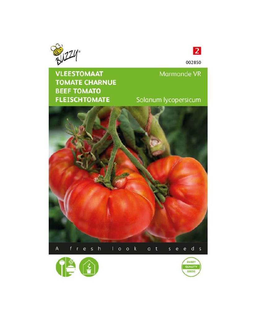 Seeds Marmande Tomato - Lycopersicon esculentum