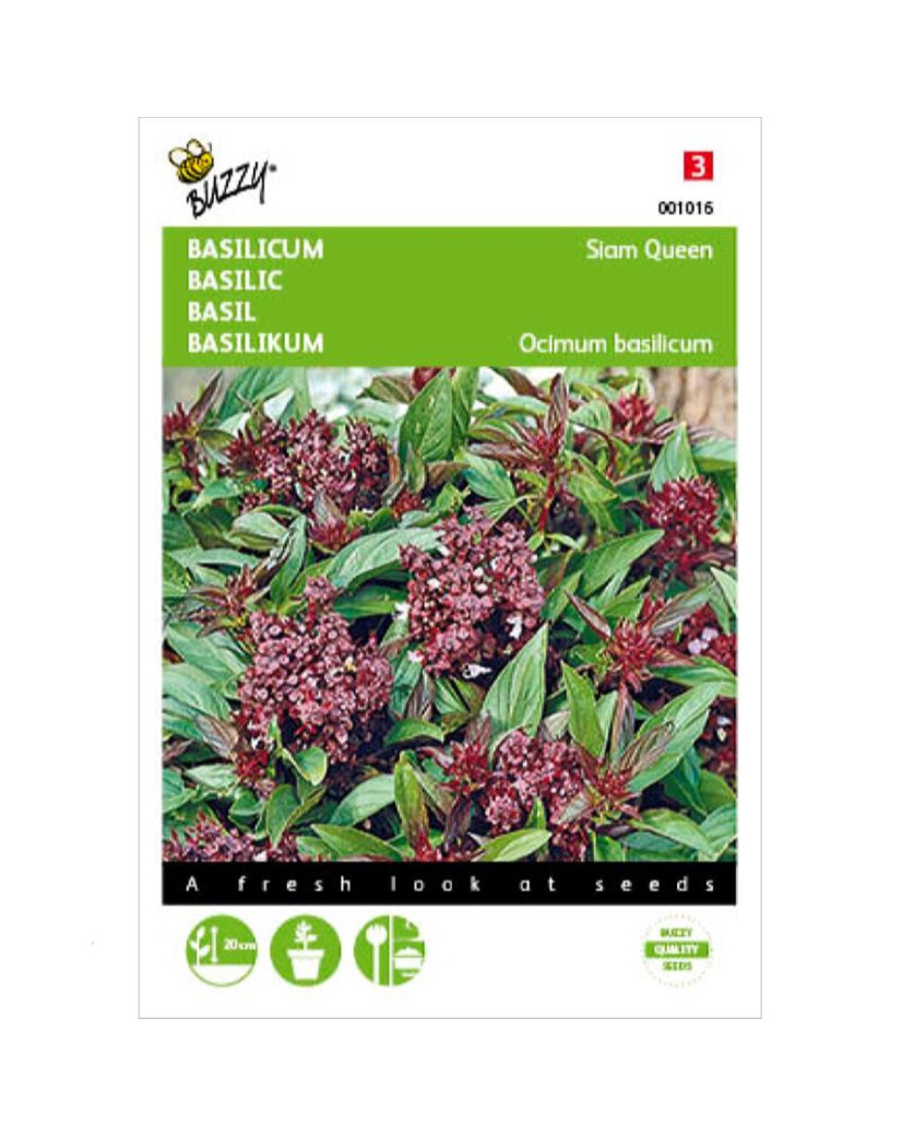 Purchase of Vegetable Seeds