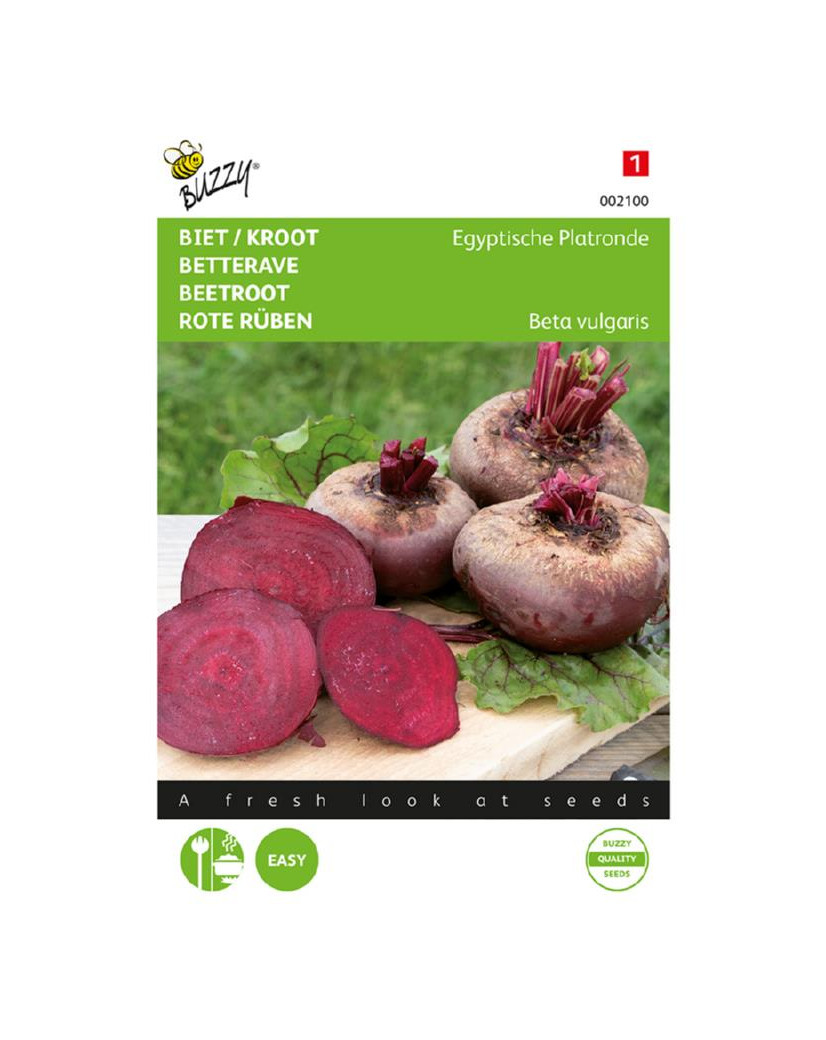 Seeds Egyptian Turnip Rooted Beetroot - Beta Vulgaris
