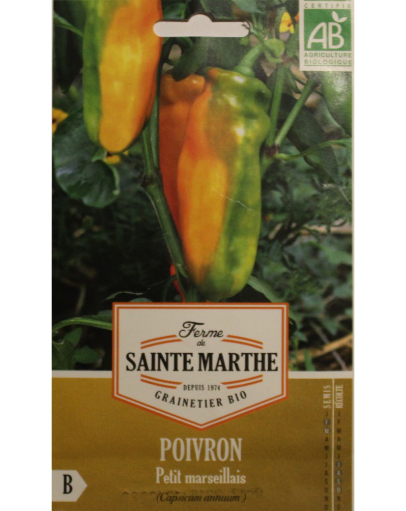 Semences Poivron Petit marseillais - Capsicum annuum