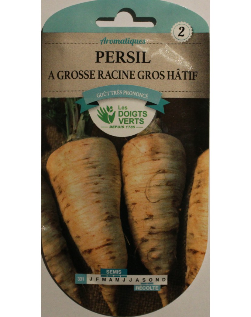 Semences Persil à grosse racine-Persil tubéreux-Petroselinum crispum ...