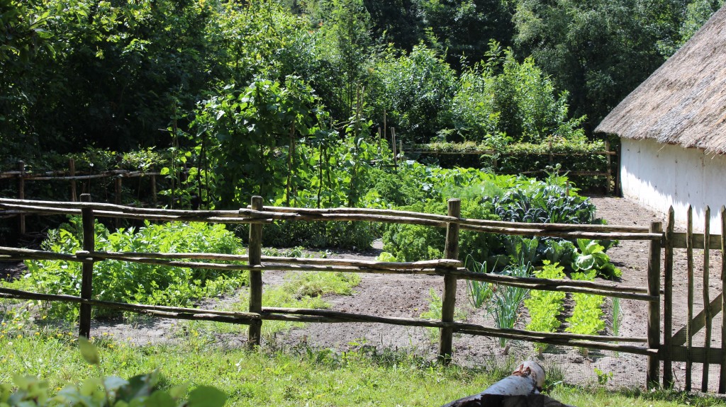 Comment débuter un petit potager ? conseils et astuces.